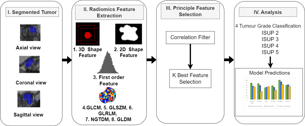 Automated Radiomics Based Clinically Significant Prostate Cancer Grade Classification from ...