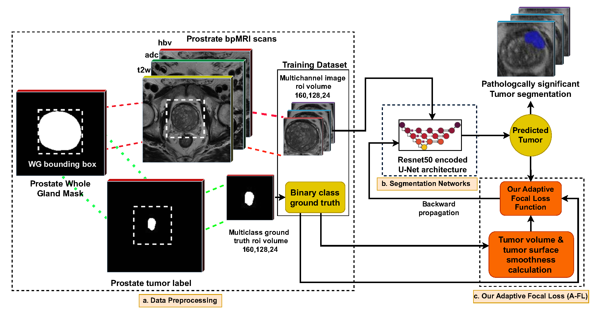 Enhancing Semantic Segmentation with Adaptive Focal Loss: A Novel Approach | BioRAIN Lab